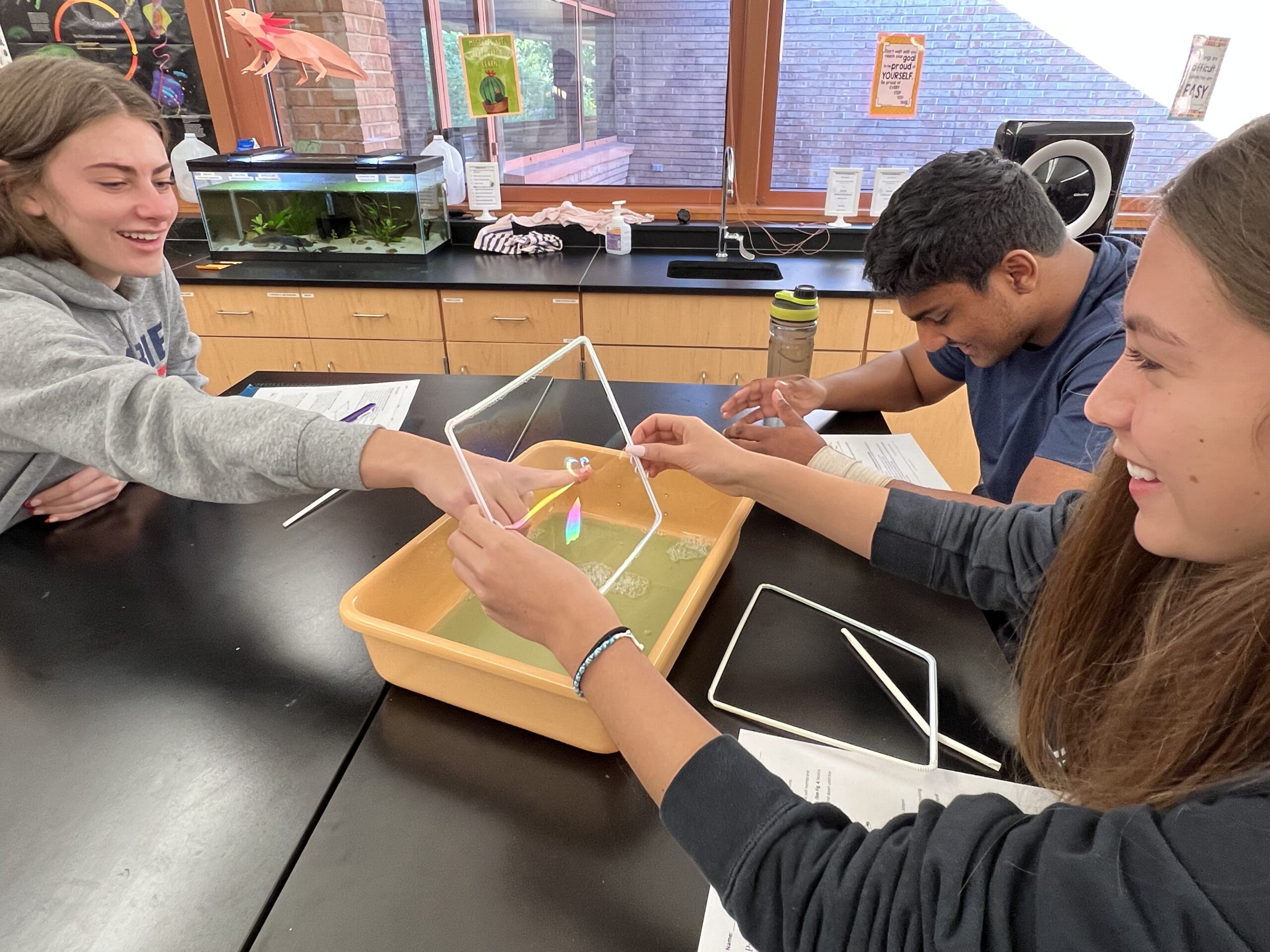 Don't Burst Our Bubble - The Prairie SchoolThe Prairie School